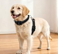 China GPS Dog Collar Real Time Tracking Waterproof Reflective Soft Padded Durable Plastic D Ring Rechargeable 216g for sale