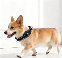 China GPS Dog Collar Real Time Tracking Waterproof Reflective Soft Padded Durable Plastic D Ring Rechargeable 216g for sale