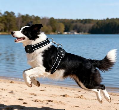 China GPS Dog Collar Real Time Tracking Waterproof Reflective Soft Padded 3 Year Battery Life for sale