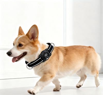 China GPS Dog Collar Real-Time Tracking Waterproof Reflective Soft Padded Breakaway Buckle 3 Year Battery Life 216g for sale