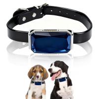 China Black Leather Dog Collar with GPS Tracker Adjustable Metal Buckle Real Time Tracking 216g for sale