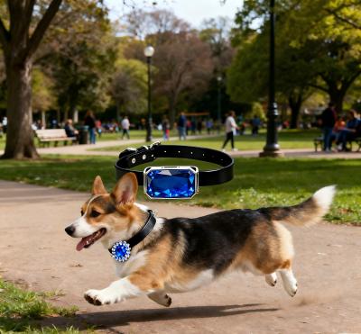 China Rechargeable GPS Dog Collar with 3 Year Battery Life Waterproof Black Leather Adjustable Metal Buckle for sale
