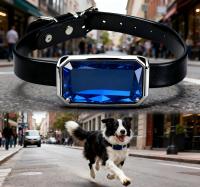 China Black ABS Dog Collar with GPS Tracker Rechargeable Waterproof Adjustable Metal Buckle 216g for sale
