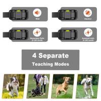 China Professional Dog Training Collar with Color Screen IPX7 Waterproof Rechargeable TPU ABS Anti Barking Smart Collar for sale
