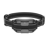 China Waterproof Rechargeable Dog Training Collar PT-325 with Remote Control IPX7 Eco-Friendly TPU for sale