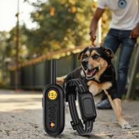 China Rechargeable Waterproof Dog Training Shock Collar IPX7 Nylon PC Plastic Remote Beeper PT-357 for sale
