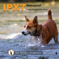 China Rechargeable Waterproof Dog Training Shock Collar IPX7 Nylon PC Plastic Remote Beeper PT-357 for sale