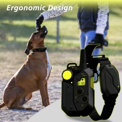 China Remote Dog Training E-Collar 4000FT Range IPX7 Waterproof Rechargeable Nylon Shock Collar for Large Dogs for sale