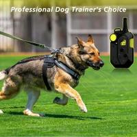 China Remote Dog Training E-Collar 4000FT Range IPX7 Waterproof Rechargeable Nylon Shock Collar for Large Dogs for sale