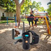 China Waterproof Rechargeable Dog Training Collar 3000 Ft Remote Beep Vibration Shock Modes Nylon for sale