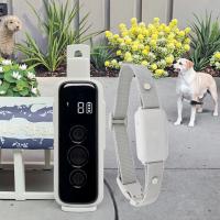 China Rechargeable Dog Training Collar 300m Range IPX7 Waterproof 3 Modes Beep Vibration Shock Remote Control for Dogs for sale