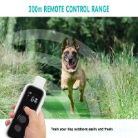 China Rechargeable Dog Training Collar 300m Range IPX7 Waterproof 3 Modes Beep Vibration Shock Remote Control for Dogs for sale