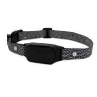 China Rechargeable IPX7 Waterproof Nylon Dog Training Collar Eco-Friendly Agility Training for Dogs PT-661A for sale
