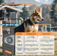 China Rechargeable 1640ft Smart Dog Training Collar IP67 Waterproof Nylon ABS Anti Bark Remote Control for sale