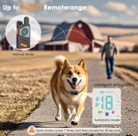 China Rechargeable 1640ft Smart Dog Training Collar IP67 Waterproof Nylon ABS Anti Bark Remote Control for sale