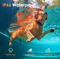 China Rechargeable 1640ft Smart Dog Training Collar IP67 Waterproof Nylon ABS Anti Bark Remote Control for sale