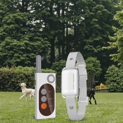 China IP67 Waterproof Rechargeable Dog Training Collar 1000m Remote Vibration Shock Free Nylon for sale