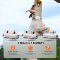 China IP67 Waterproof Rechargeable Dog Training Collar 1000m Remote Vibration Shock Free Nylon for sale