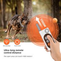 China IP67 Waterproof Rechargeable Dog Training Collar 1000m Remote Vibration Shock Free Nylon for sale