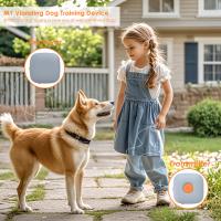 China Rechargeable Waterproof Dog Training Collar IP67 Vibration Anti Bark Stop Device Eco Friendly Plastic ABS M1 for sale