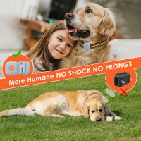 China Rechargeable Waterproof Dog Training Collar IP67 Vibration Anti Bark Stop Device Eco Friendly Plastic ABS M1 for sale