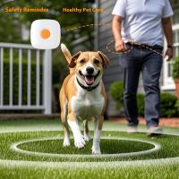 China 2025 Mini Interactive Remote Control Rechargeable E-Collar Dog Training IP67 Waterproof Plastic No Shock Vibration Reminders for for sale