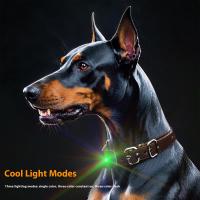China 2025 Mini Interactive Remote Control Rechargeable E-Collar Dog Training IP67 Waterproof Plastic No Shock Vibration Reminders for for sale