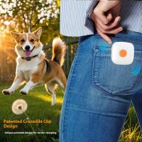 China 2025 Mini Interactive Remote Control Rechargeable E-Collar Dog Training IP67 Waterproof Plastic No Shock Vibration Reminders for for sale