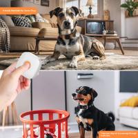 China 2025 Mini Interactive Remote Control Rechargeable E-Collar Dog Training IP67 Waterproof Plastic No Shock Vibration Reminders for for sale
