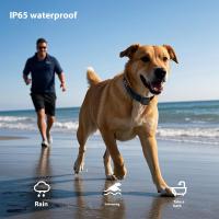 China 2025 Mini Interactive Remote Control Rechargeable E-Collar Dog Training IP67 Waterproof Plastic No Shock Vibration Reminders for for sale