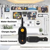 China IPX7 Waterproof Rechargeable Dog Training Collar with Beep Vibration Shock Modes Eco-Friendly Nylon PC for sale