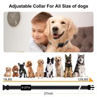 China IPX7 Waterproof Rechargeable Dog Training Collar with Beep Vibration Shock Modes Eco-Friendly Nylon PC for sale