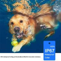 China Remote Dog Training Collar with Shock Beep Vibration IP67 Waterproof for Small to Large Dogs for sale