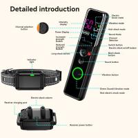 China IP67 Waterproof Rechargeable Dog Training Collar ABS Material 20h Battery Life Color Screen for sale