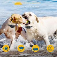 China Eco Friendly Nylon IP67 Waterproof Dog Training Collar 1000m Range Remote Electric Shock Sound for sale