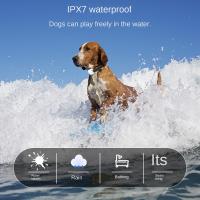 China Waterproof Rechargeable Dog Training Collar 800m Remote with Beep Vibration Shock IP67 for sale