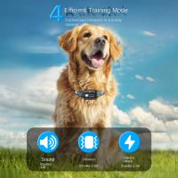 China Rechargeable Remote Dog Training Collar with Vibration and Shock Modes IP67 Waterproof for sale