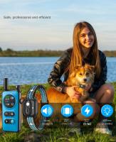 China Rechargeable Remote Dog Training Collar with Vibration and Shock Modes IP67 Waterproof for sale