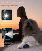 China Rechargeable Remote Dog Training Collar with Vibration and Shock Modes IP67 Waterproof for sale