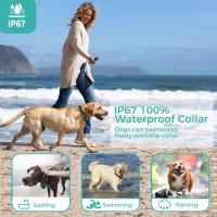 China Remote Control Dog Training Collar IPX7 Waterproof Rechargeable 800m Range Adjustable Modes for Large Dogs for sale