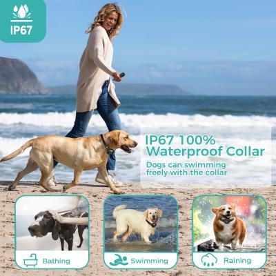 China Remote Control Dog Training Collar IPX7 Waterproof Rechargeable 800m Range Adjustable Modes for Large Dogs for sale