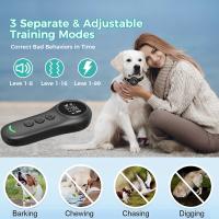 China Remote Control Dog Training Collar IPX7 Waterproof Rechargeable 800m Range Adjustable Modes for Large Dogs for sale
