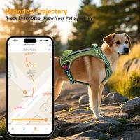 China Solar Powered Rechargeable Pet GPS Tracker with GPRS Real-Time Tracking IP67 Waterproof 4G Dog Collar for sale