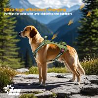 China Solar Powered Rechargeable Pet GPS Tracker with GPRS Real-Time Tracking IP67 Waterproof 4G Dog Collar for sale