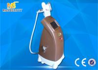 China One Handle Most Professional Coolsulpting Cryolipolysis Machine for Weight Loss for sale
