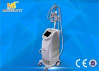 China Best seller vertical fat freezing cryolipolisis coolsculpting cryolipolysis machine for sale
