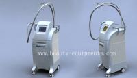 China 2012 Popular Freezing Fat Slimming Equipment for sale
