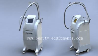 China 2012 Popular Freezing Fat Slimming Equipment for sale