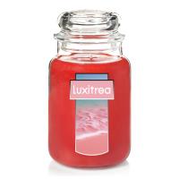 China Luxitrea Scented Candle Classic 22oz Large Jar Single Wick Candle Over 110 Hours of Burn Time for sale