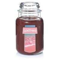 China Luxitrea Scented Candle Classic 22oz Large Jar Single Wick Candle Over 110 Hours of Burn Time for sale